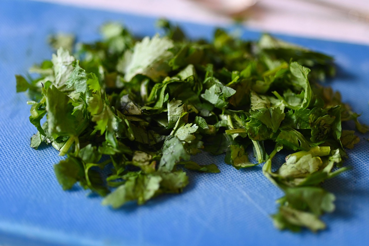 Cilantro: Why This Zesty Little Herb Deserves a Spot on Your Plate ...